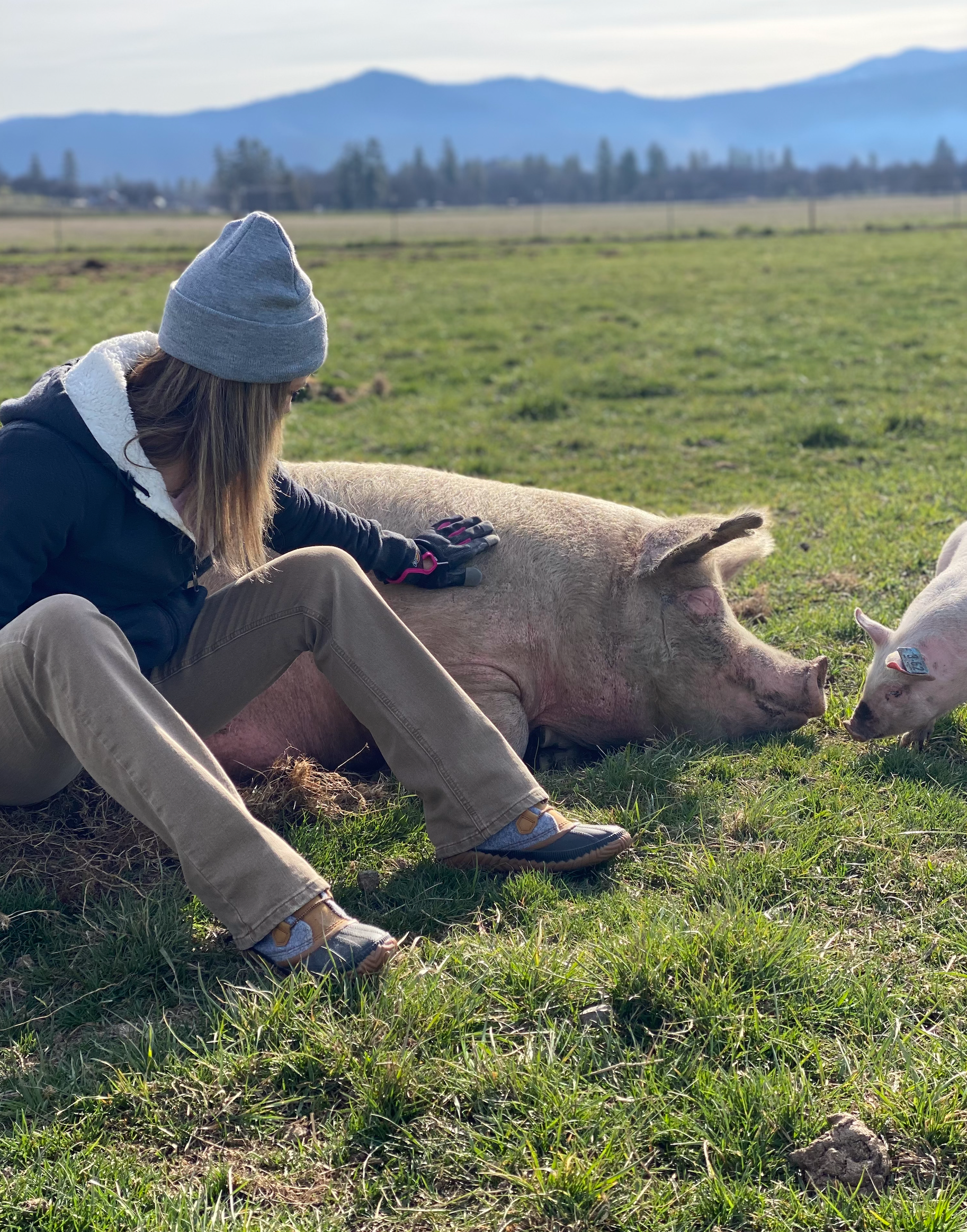 Embracing Ethical Pig Farming: A Journey Towards Sustainable Agricultu ...